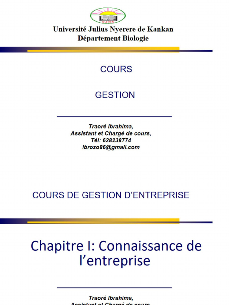 Chapitre 1 Connaissance Entreprise | PDF