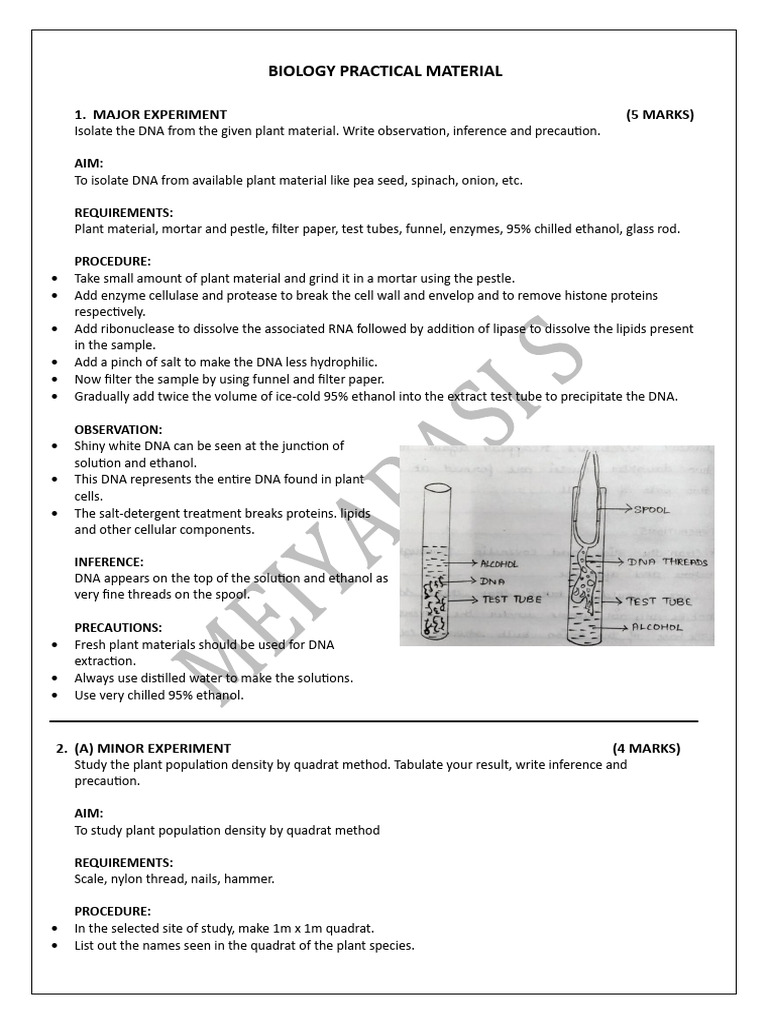 Biology Practical: DNA Isolation & Population Studies | PDF | Dominance ...