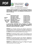 BARANGAY DISASTER RISK REDUCTION & MANAGEMENT (BDRRM) PLAN 2025 | PDF ...