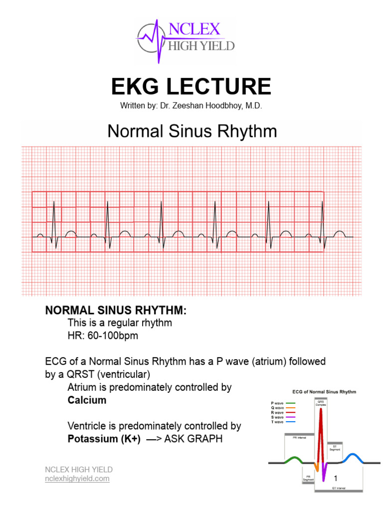 EKG 2024 | PDF | Medical Specialties | Cardiovascular System