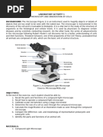 LAB 1 - Microscopy and CELL Overview | PDF | Microscope | Cell (Biology)