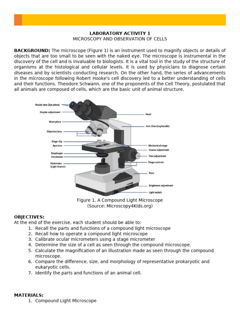 BIO1204 LA1 Microscopy and Observation of Cells | PDF | Staining | Microscopy
