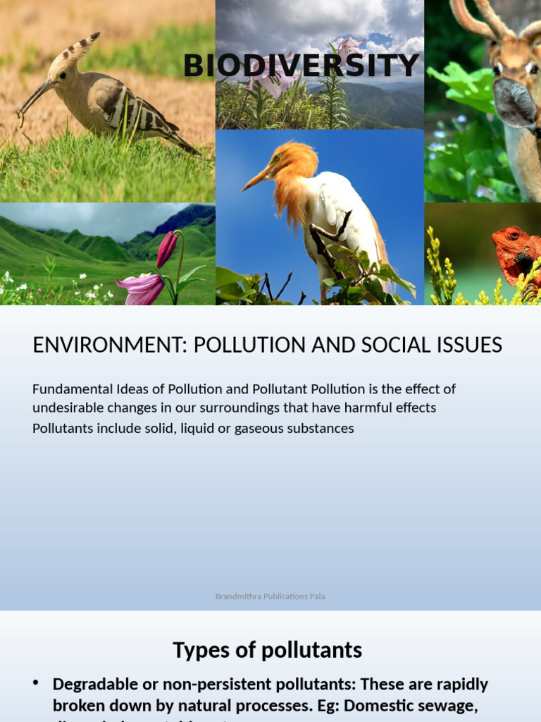 Nvironmental Pollution and Social Issue | PDF | Greenhouse Gas | Waste