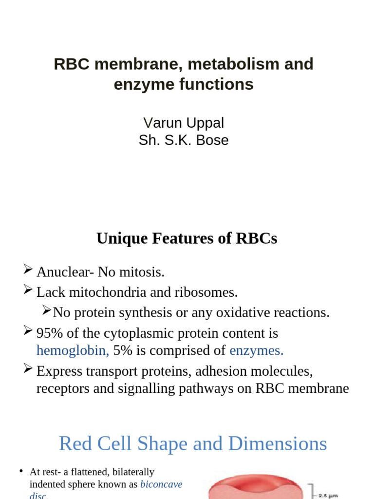 RBC Membrane Structure & Function | PDF | Cell Membrane | Glycolysis