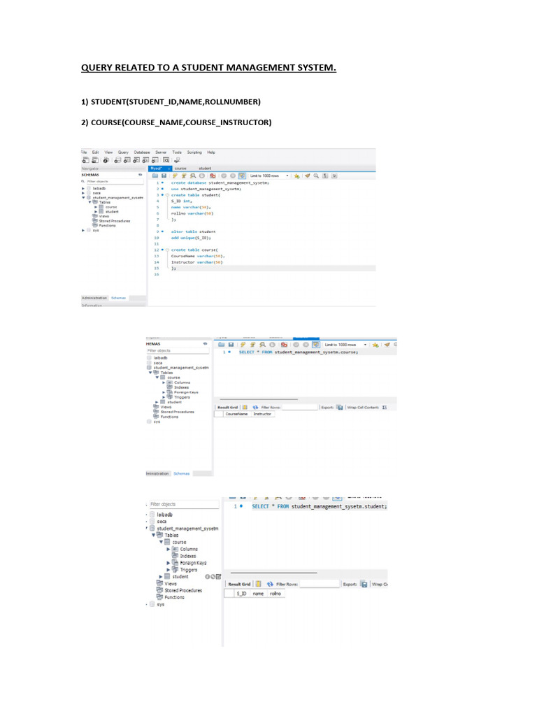Malik Shahmeer Ahmad, 23021519-065-C | PDF