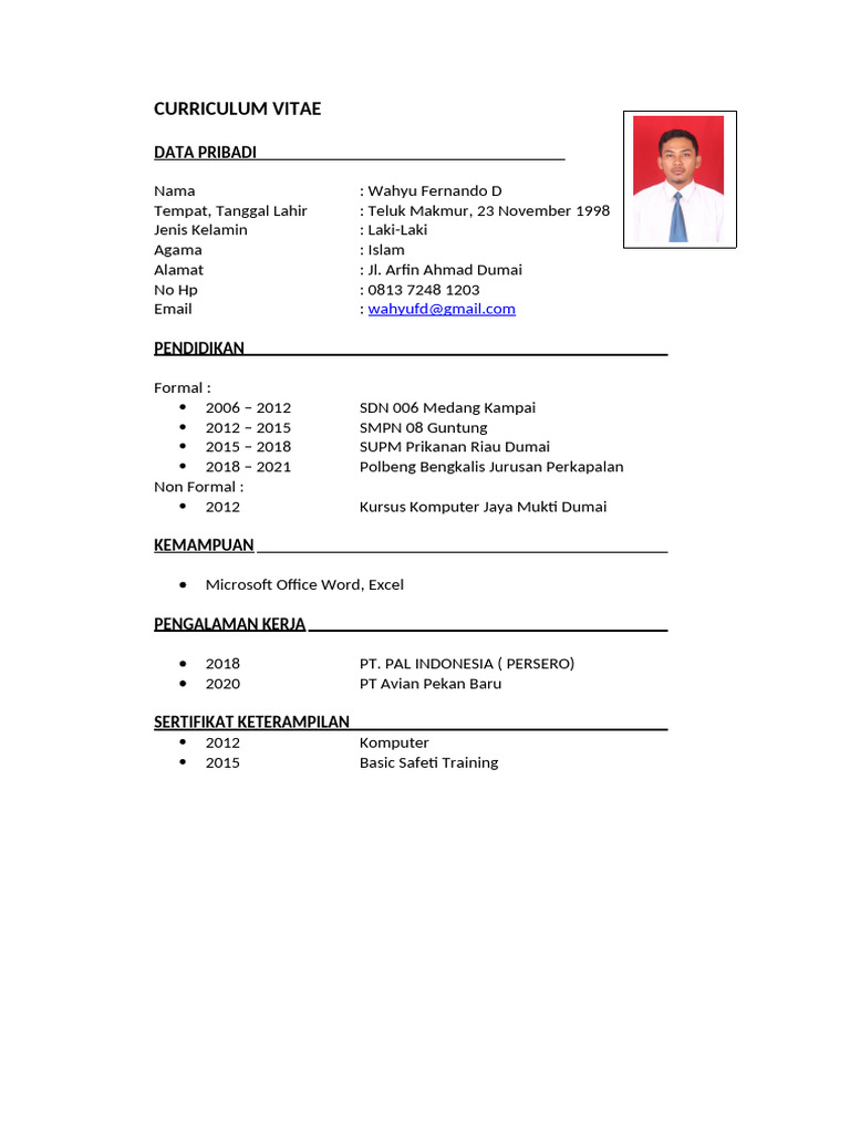 CV Wahyu | PDF
