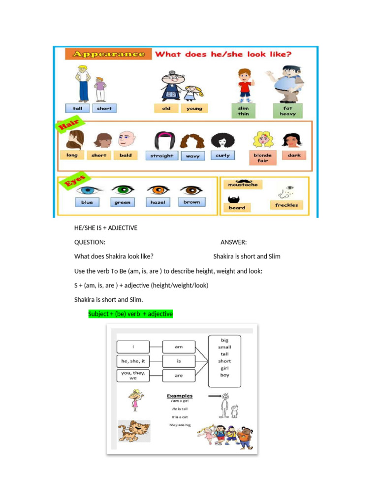Describing Appearance with Adjectives | PDF