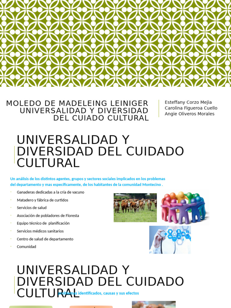 Moledo de Madeleing Leiniger Universalidad y Diversidad Del | PDF ...