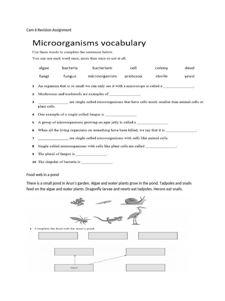 Cam 6 Revision Assignment | PDF