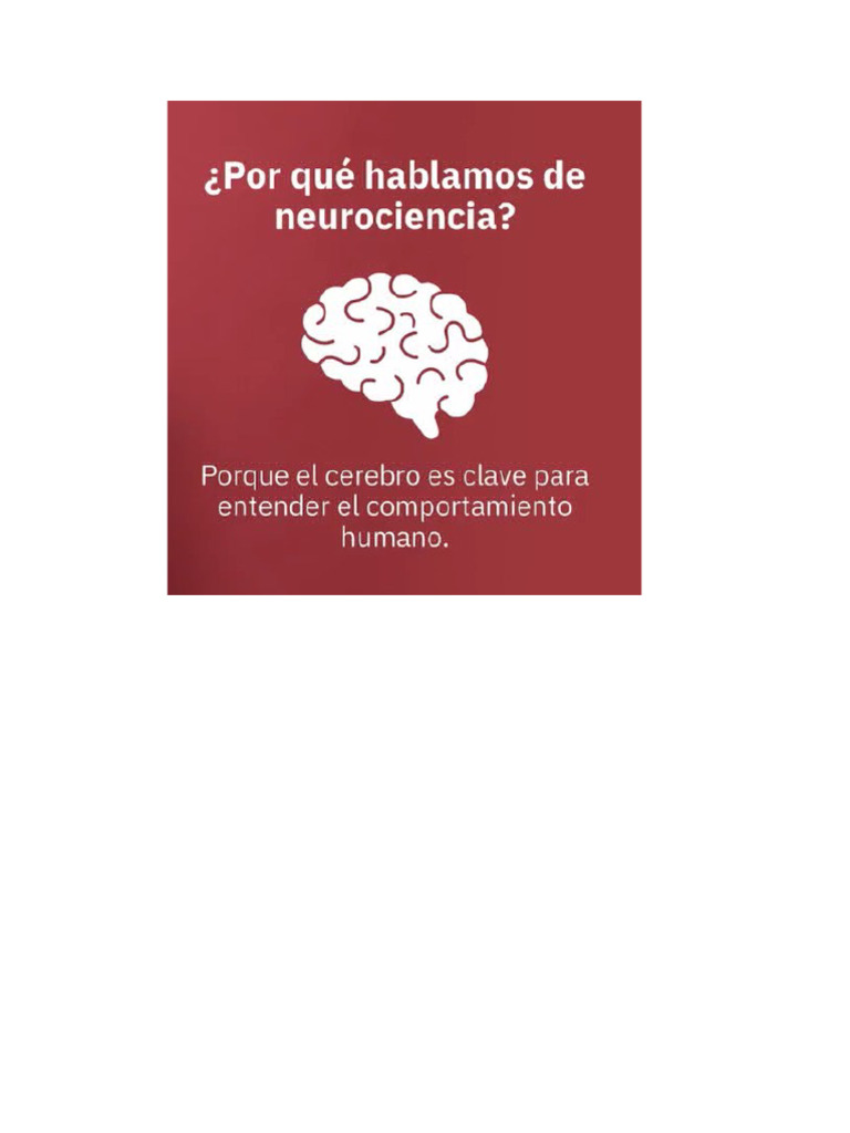 Mentoring y Coaching para Líderes | PDF