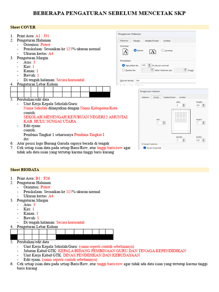 Panduan Cetak SKP di Excel | PDF
