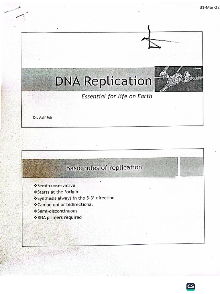 DNA Replication PDF | PDF