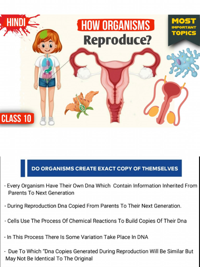 How Do Organism Reproduce Class 10 | PDF