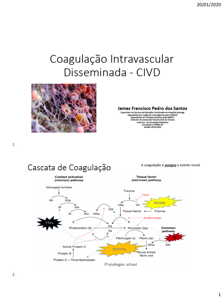 Coagulação Intravascular Disseminada: Diagnóstico e Tratamento | PDF ...