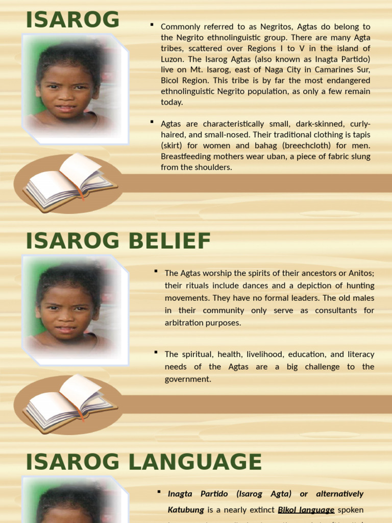 AGTAS-REPORT-ELEC | PDF