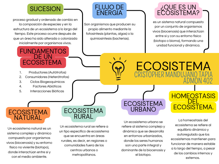 Mapa Conceptual Ecosistema C | PDF | Ecosistema | Ciencias de la Tierra