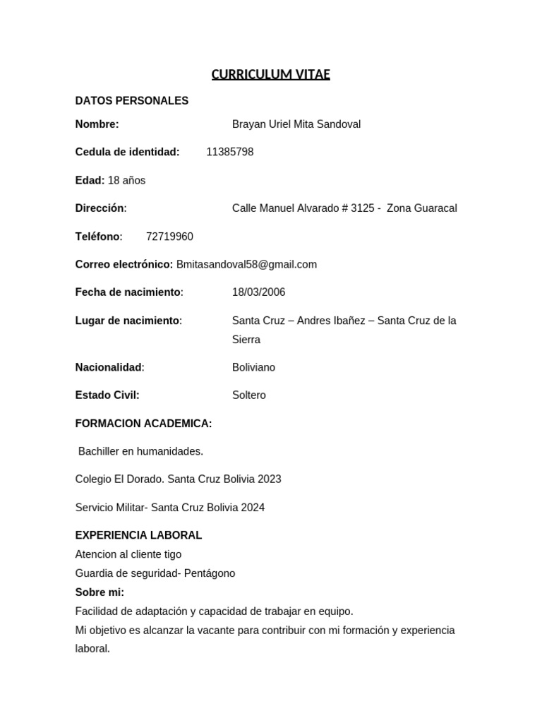 CV Brayan Mita: Experiencia y Formación | PDF