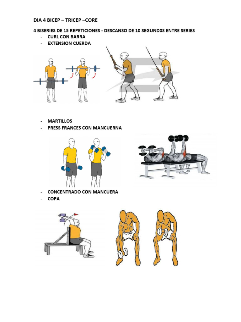 4 Bicep, Tricep, Core | PDF