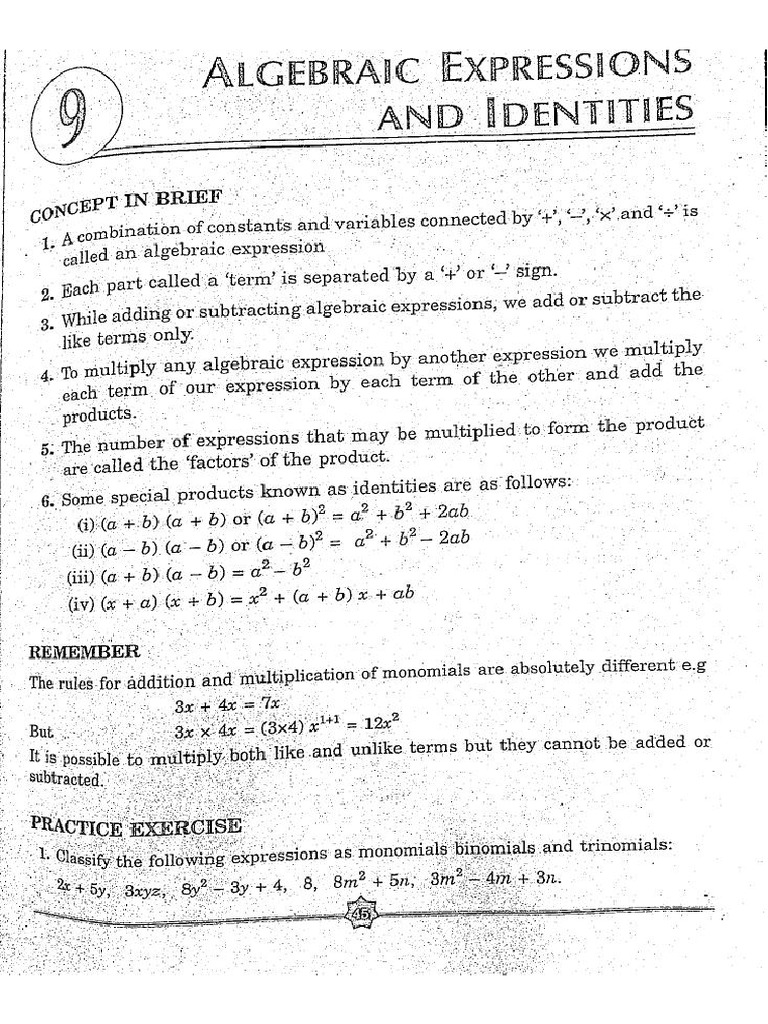 VIII Algebraic Expression & Identities | PDF