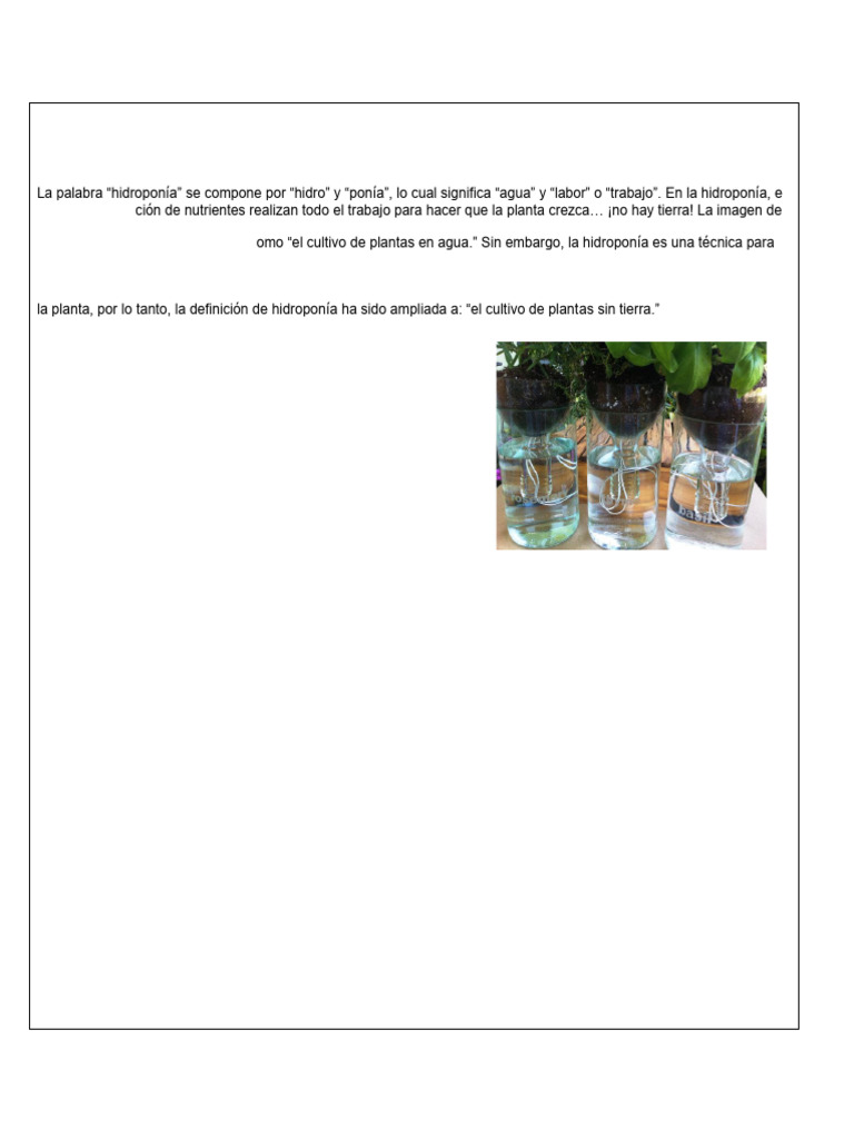 HIDROPONIA | PDF | Hidroponia | Agua