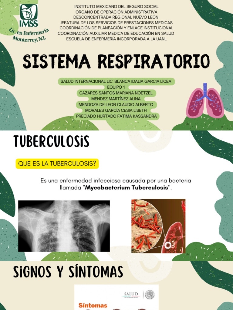 Sesión 1, Eq1, SR | PDF | Influenza | Tuberculosis