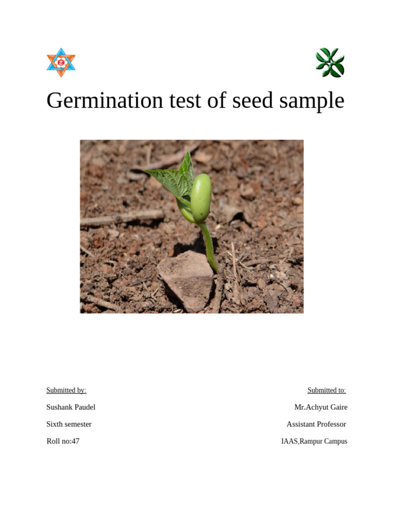 Seed Germination Testing Guide | PDF | Seed | Germination