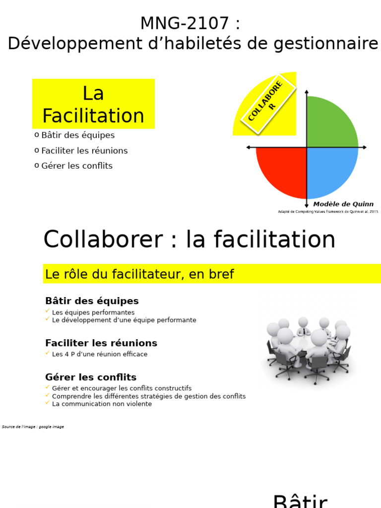 2 Mng 2107 z1 Facilitation (2) | PDF | Résolution de conflit | Psychologie