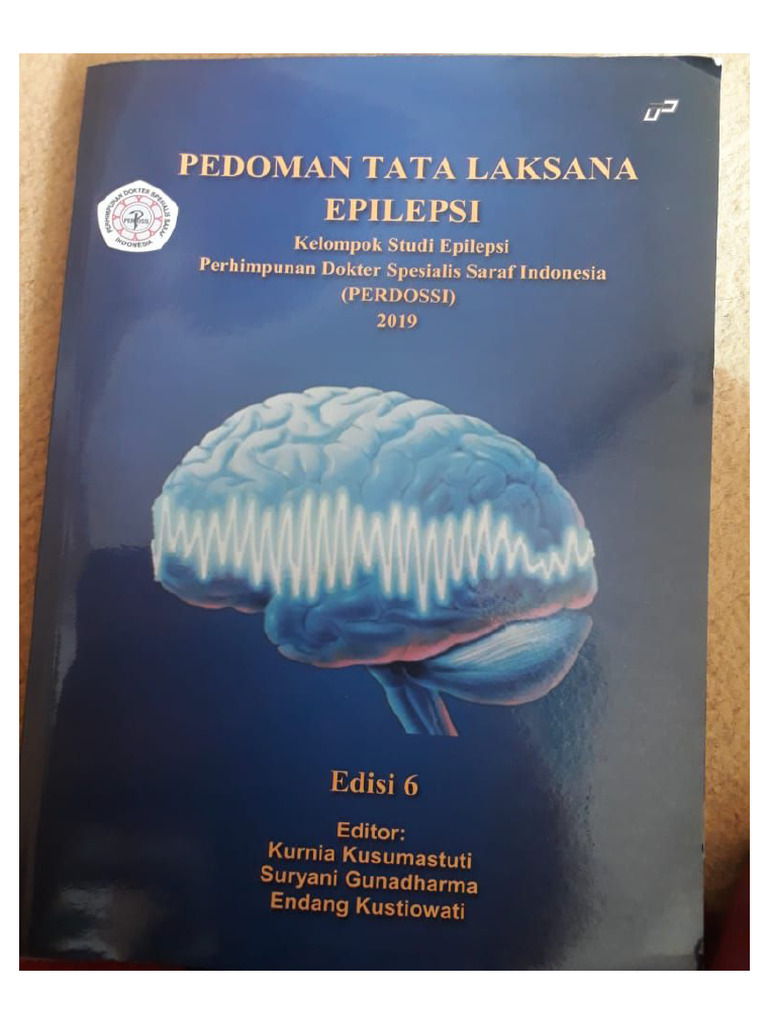 eBook Epilepsi 3 | PDF