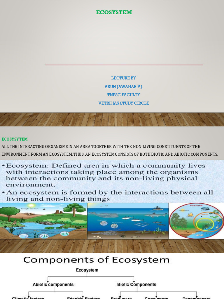 Ecosystem | PDF | Food Web | Ecosystem