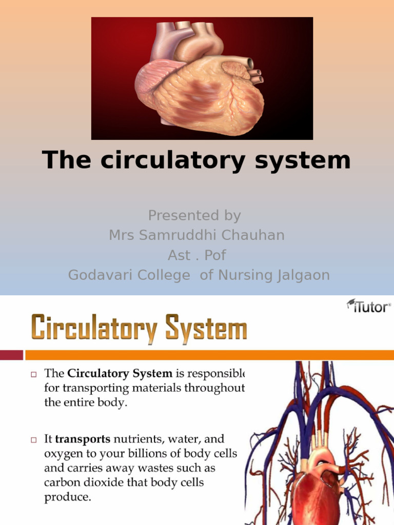 The Circulatory System: Presented by Mrs Samruddhi Chauhan Ast - Pof ...