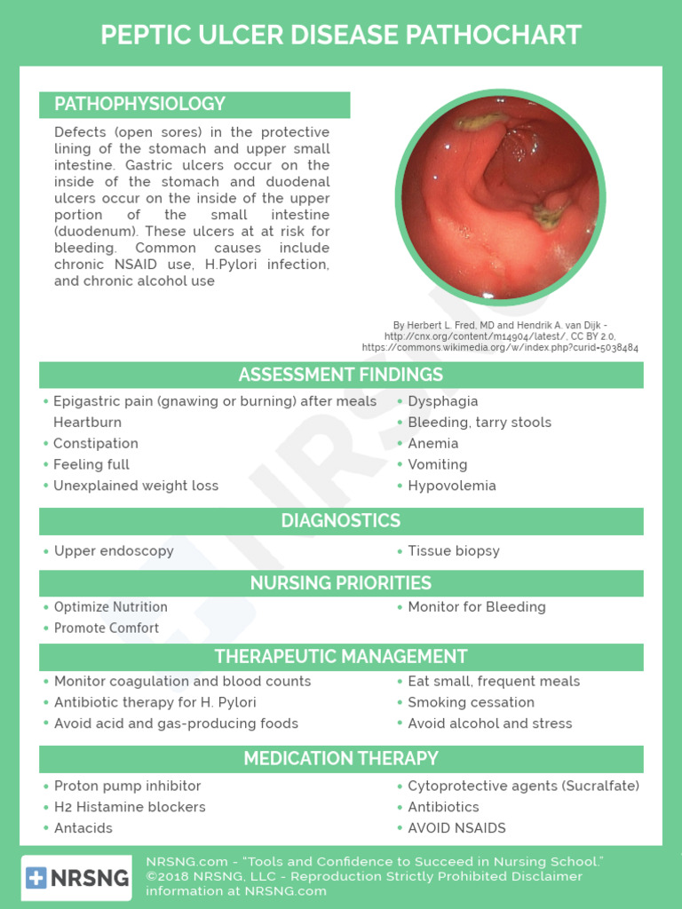 Nclex Peptic Ulcer | PDF
