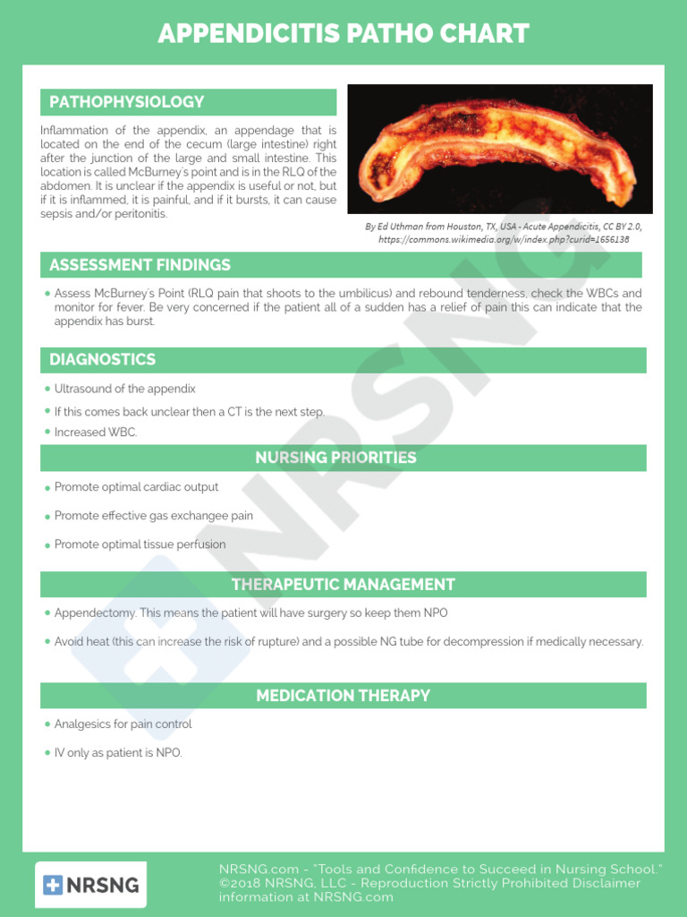 Cs Gi 005 Appendicitis Patho Chart | PDF