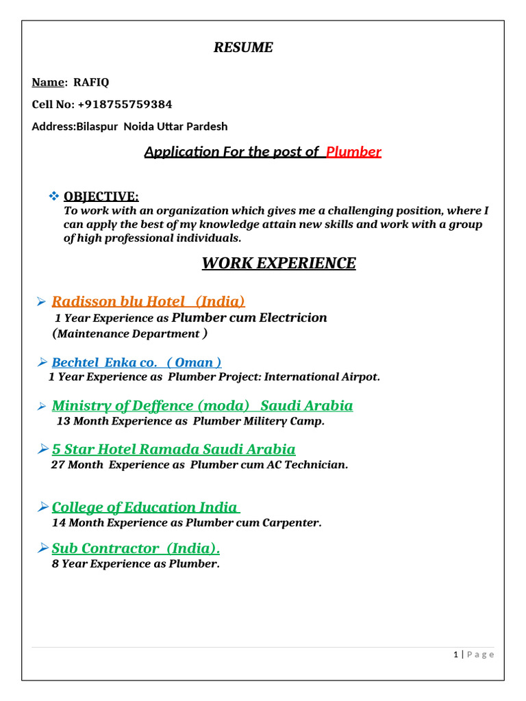 Experienced Global Plumber | PDF