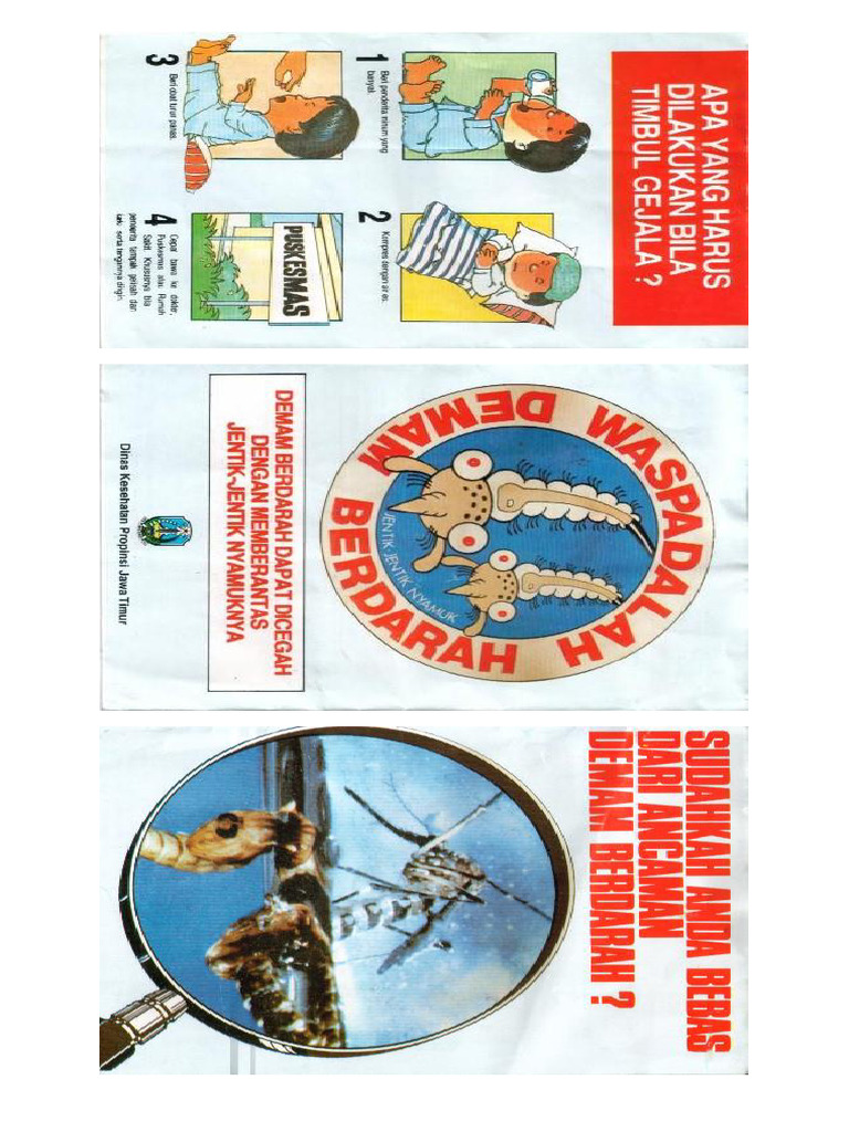 Leaflet Khusus DHF | PDF