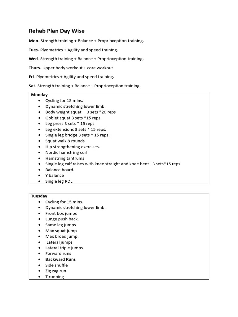 Weekly Rehab Training Plan | PDF