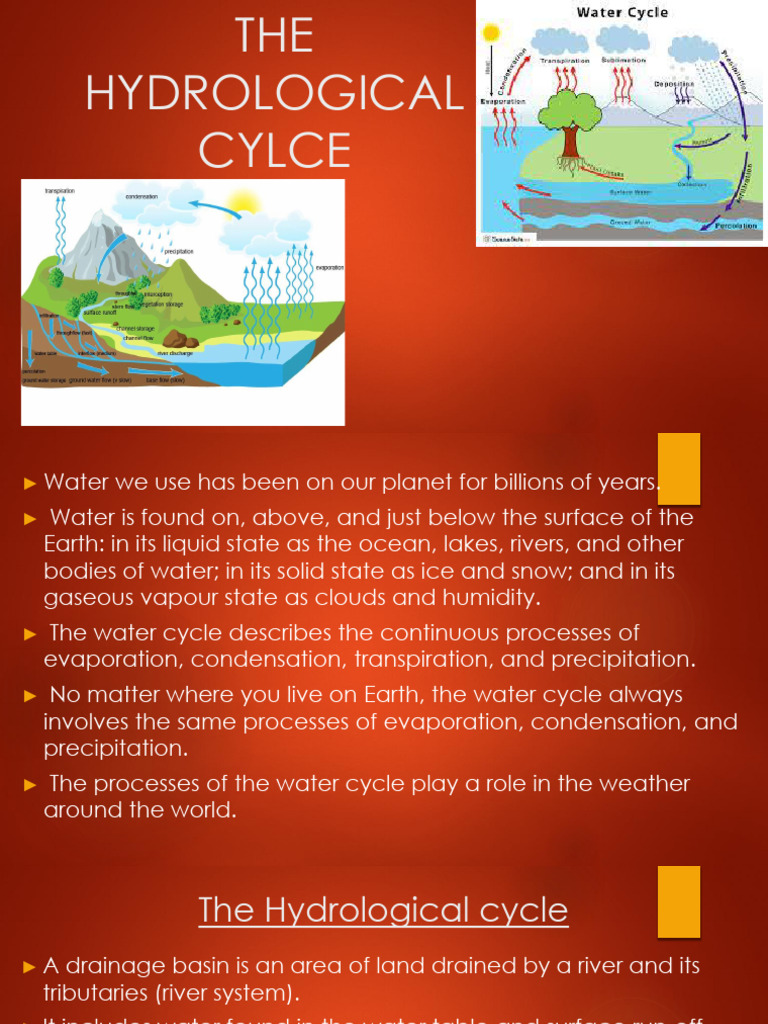 Understanding the Hydrological Cycle | PDF | Water Cycle | Drainage Basin