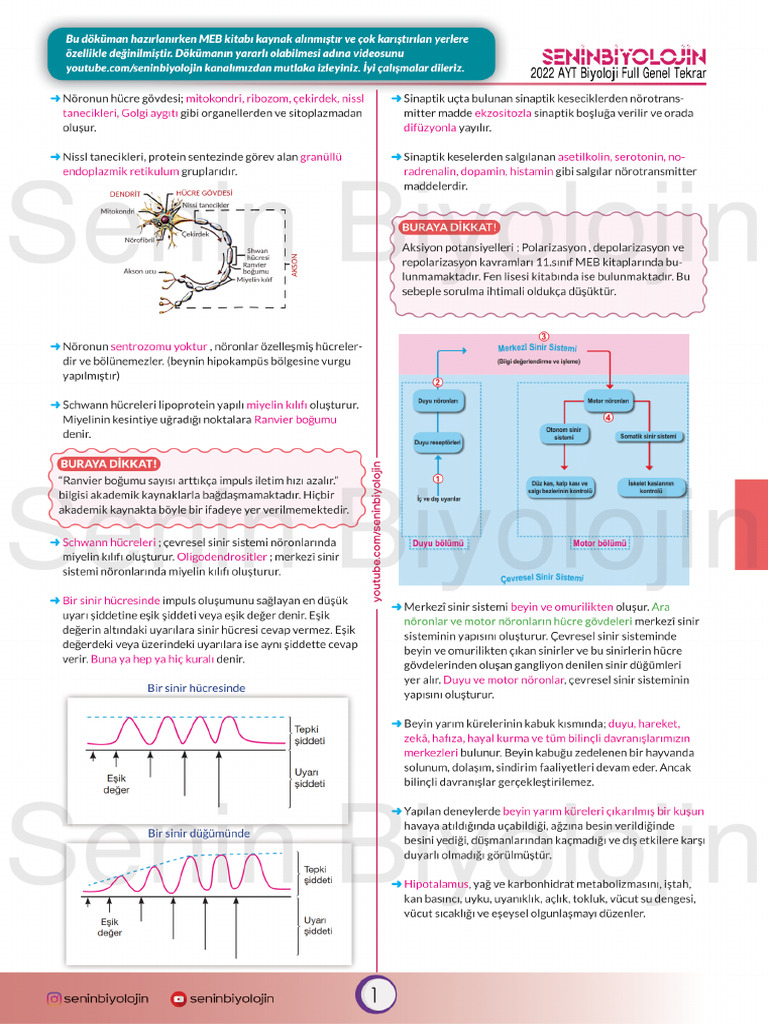 AYT Biyoloji Full Genel Tekrar | PDF