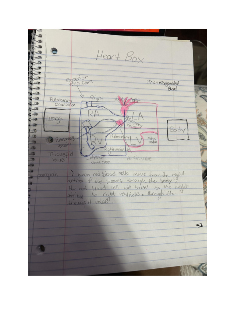 Heart Box | PDF