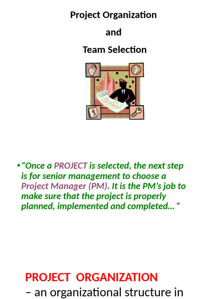 Project Management: Organization & Team Roles | PDF | Facilitator ...