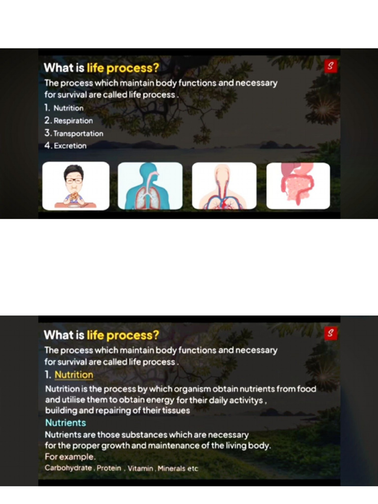 Class 10th Science Life Process | PDF