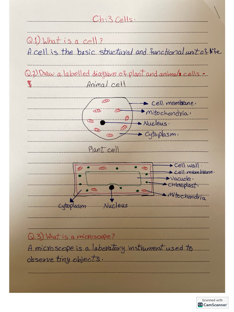 Chap 3 Cell Classwork by Zeyad Tamer | PDF
