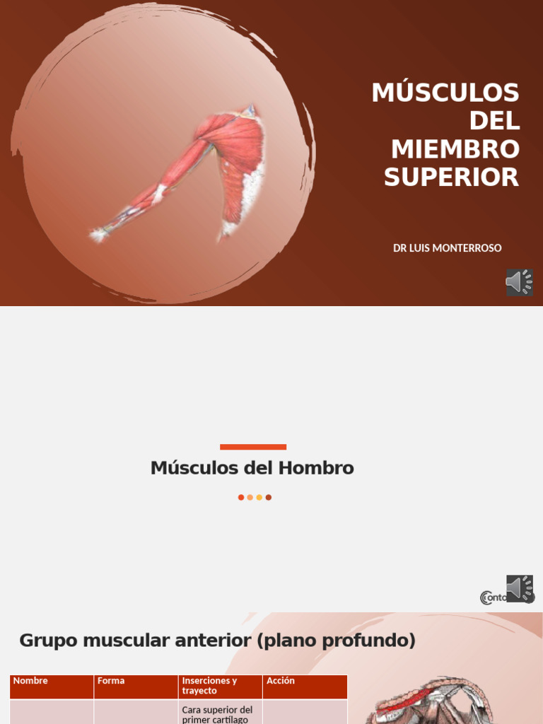 Músculos del Miembro Superior: Anatomía y Función | PDF | Mano ...