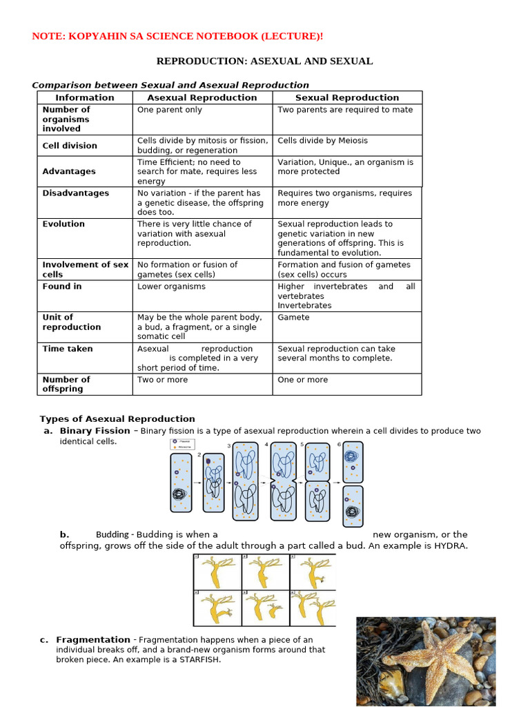 LECTURE-ASEXUAL-AND-SEXUAL-REPRODUCTION | PDF | Reproduction | Sexual ...