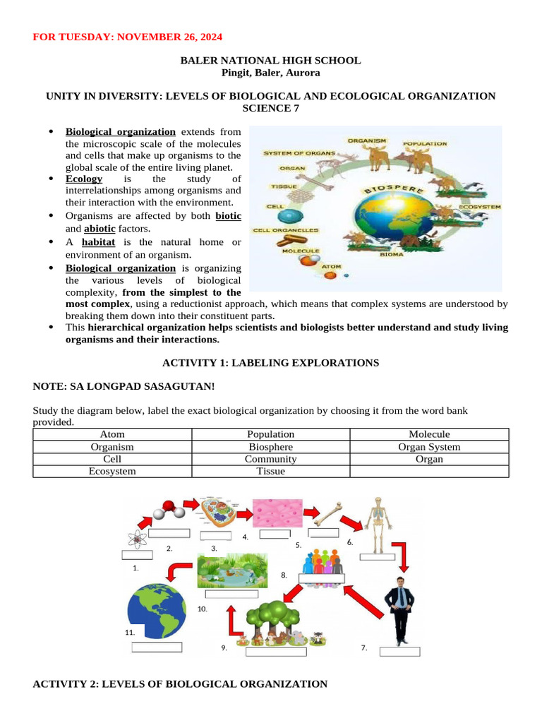 LEVELS OF BIOLOGICAL ORGANIZATION ACTIVITY | PDF | Biology | Ecology