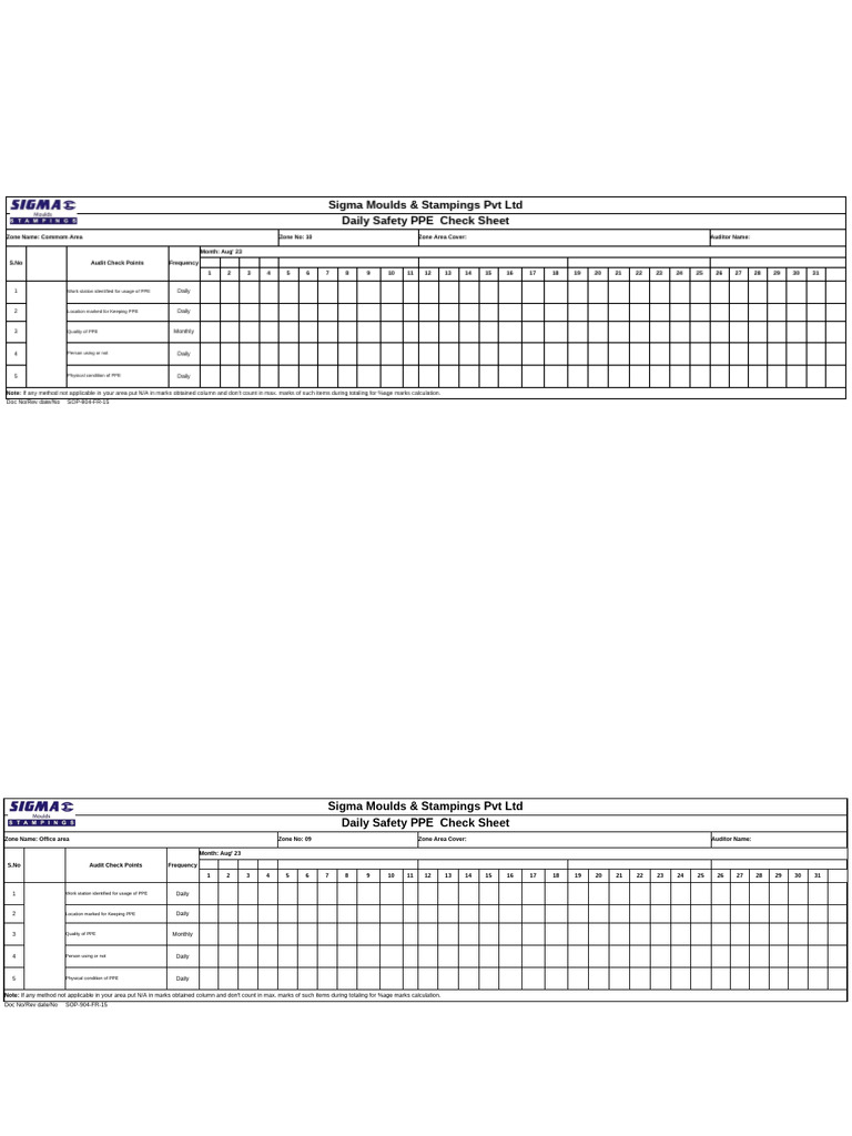 PPE Sheet- Aug | PDF | Audit | Business