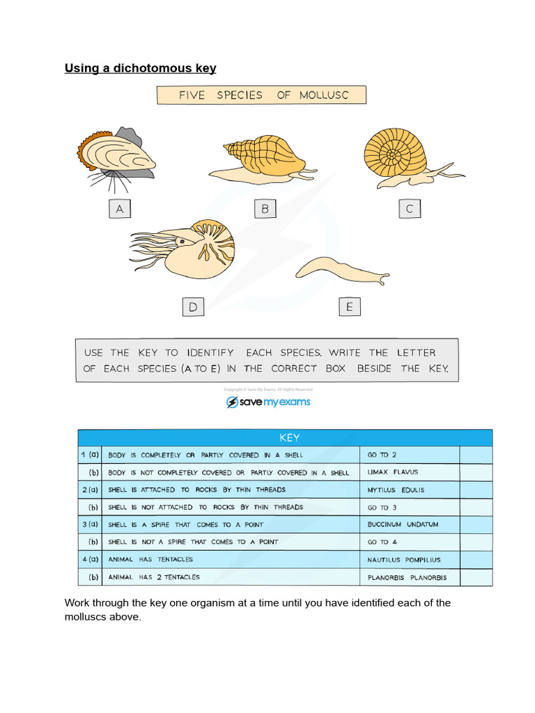 Using A Dichotomous Key - 2UP | PDF