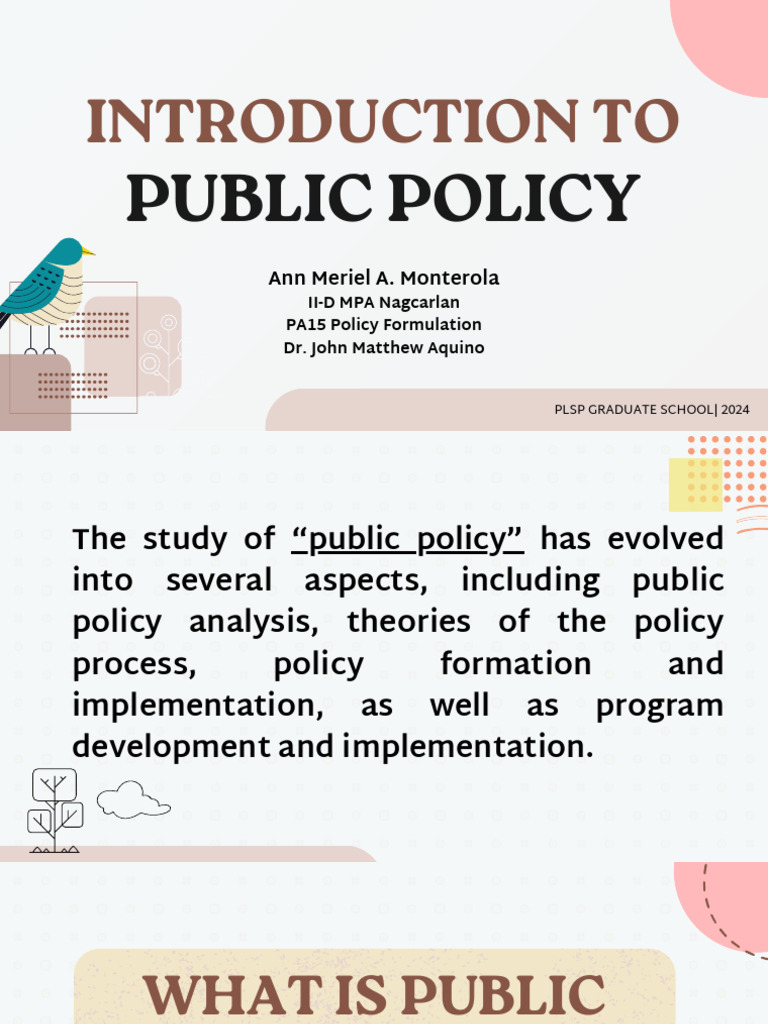Meriel - Pa15 Report - Intro To Public Policy | PDF | Policy | Social ...