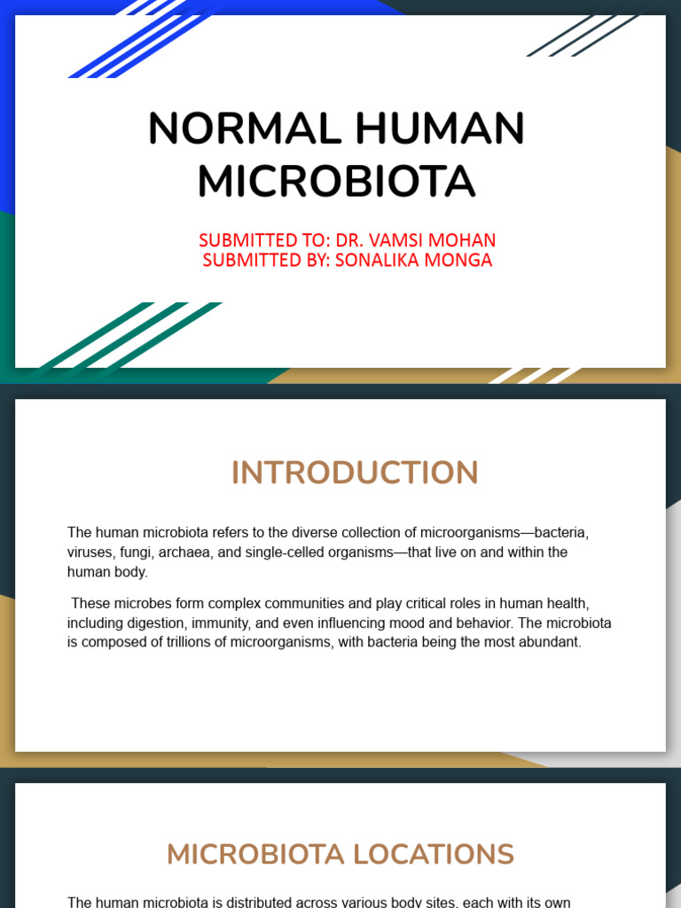 Normal Human Microbiota | PDF | Microorganism | Bacteria