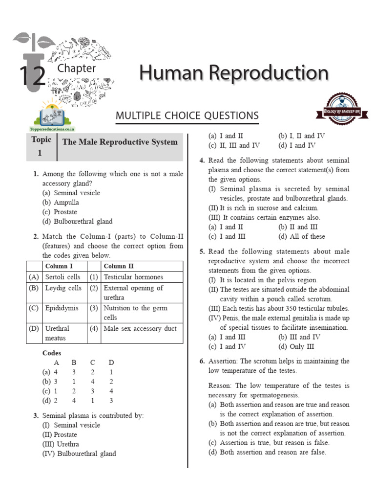 Human Reproduction 1 | PDF | Menstrual Cycle | Testicle
