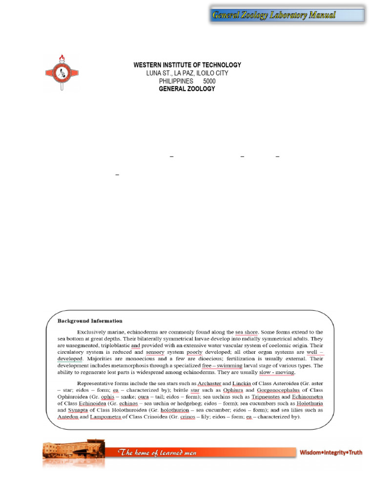 Echinodermata Overview and Activity Guide | PDF | Zoology